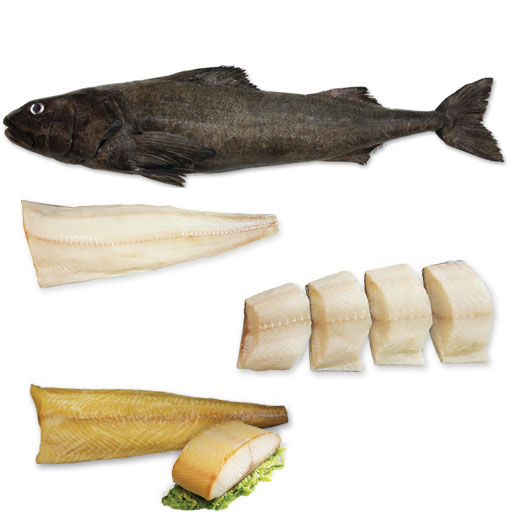 BLACK COD - Ocean Master Foods International