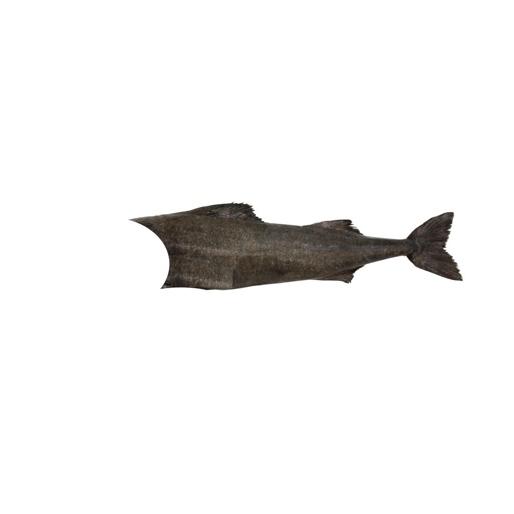 Frozen J- Cut Black cod 3/4 (13.6 kg/cs) – Ocean Master Foods International