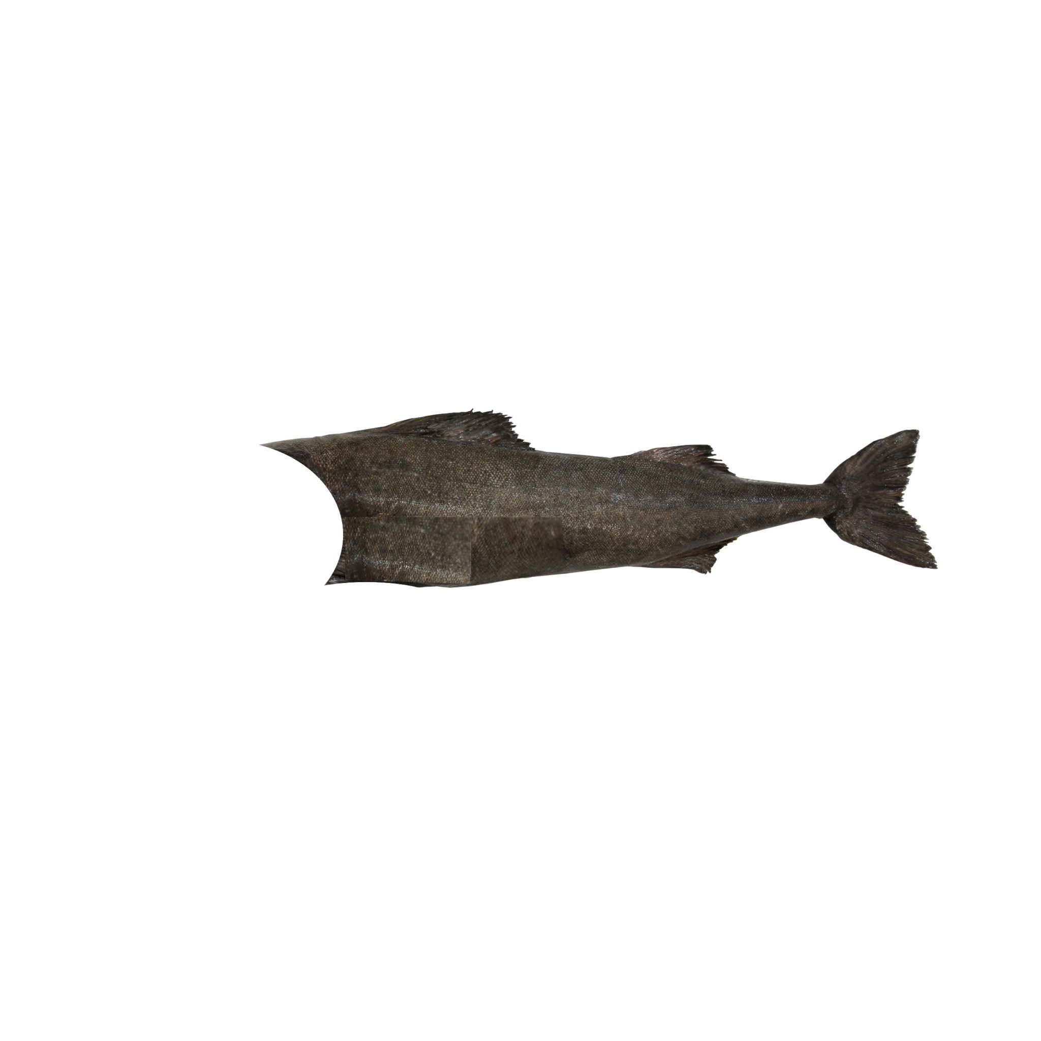 Frozen Black Cod Fillets (Med) – Ocean Master Foods International